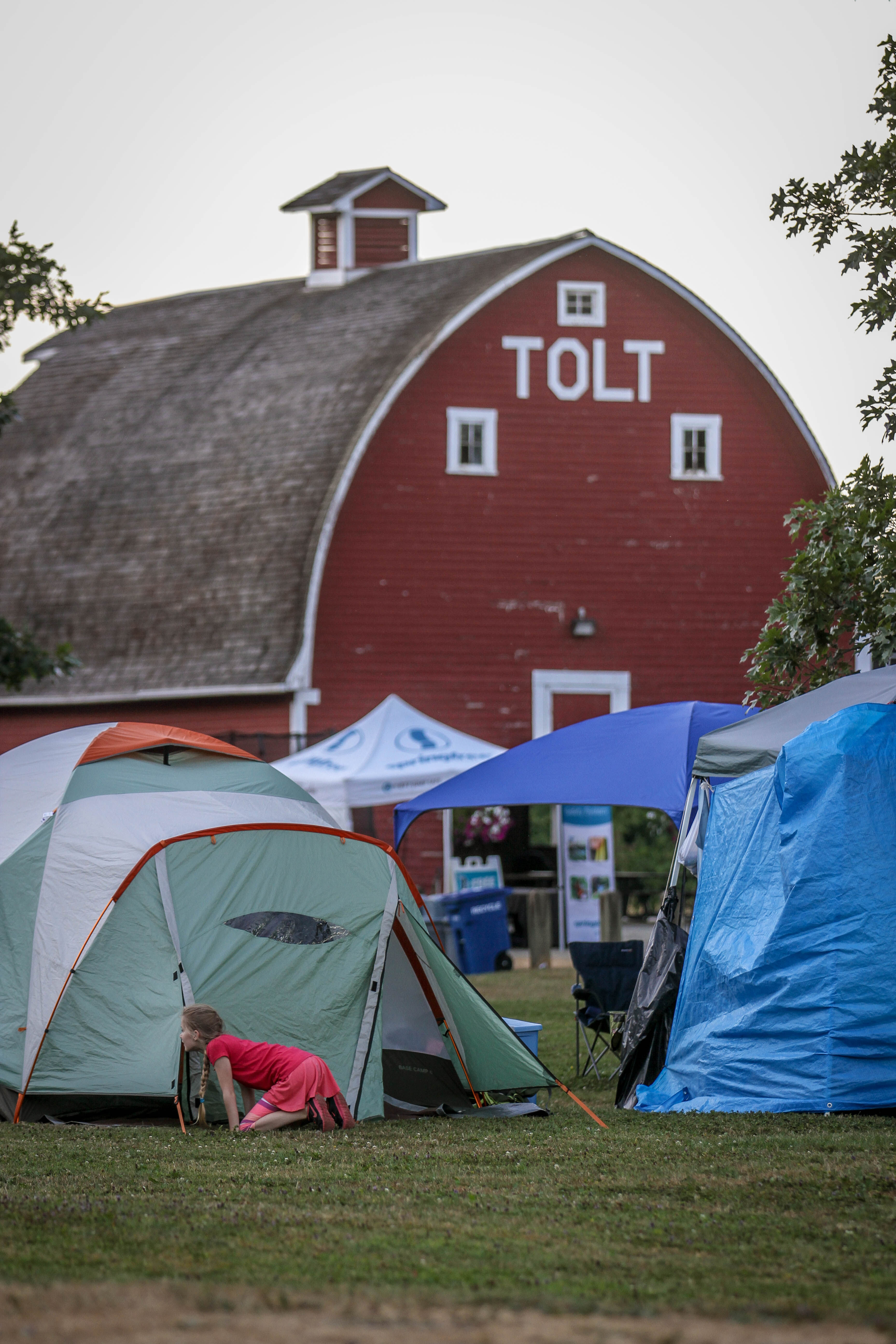 Timber! Outdoor Music Festival returns to King County’s Tolt-MacDonald Park