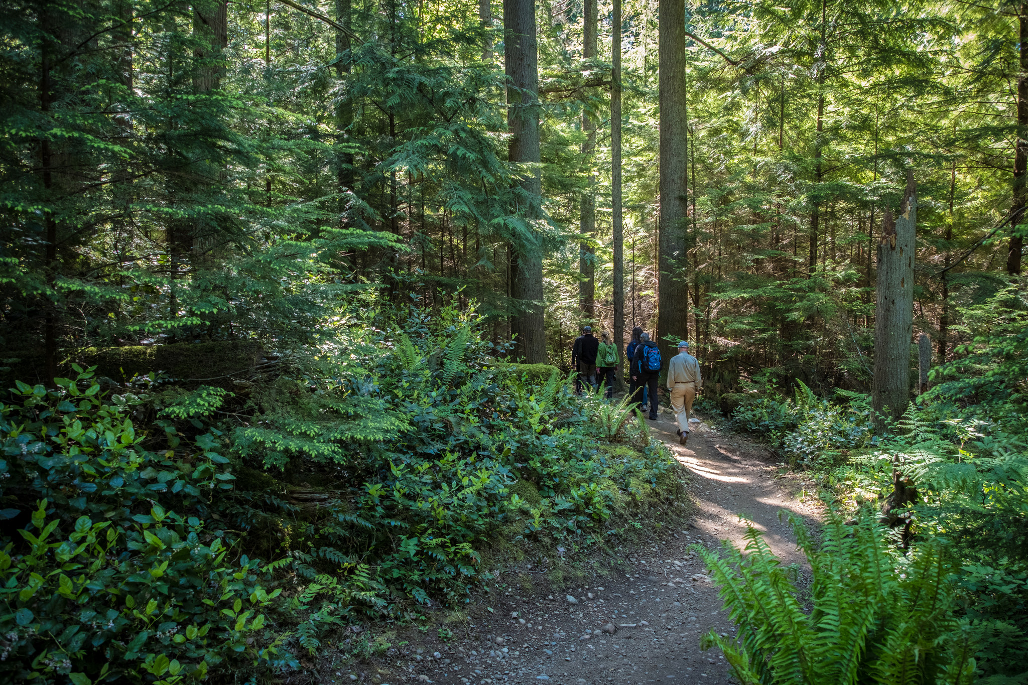 Grand Ridge: Water Tower Loop