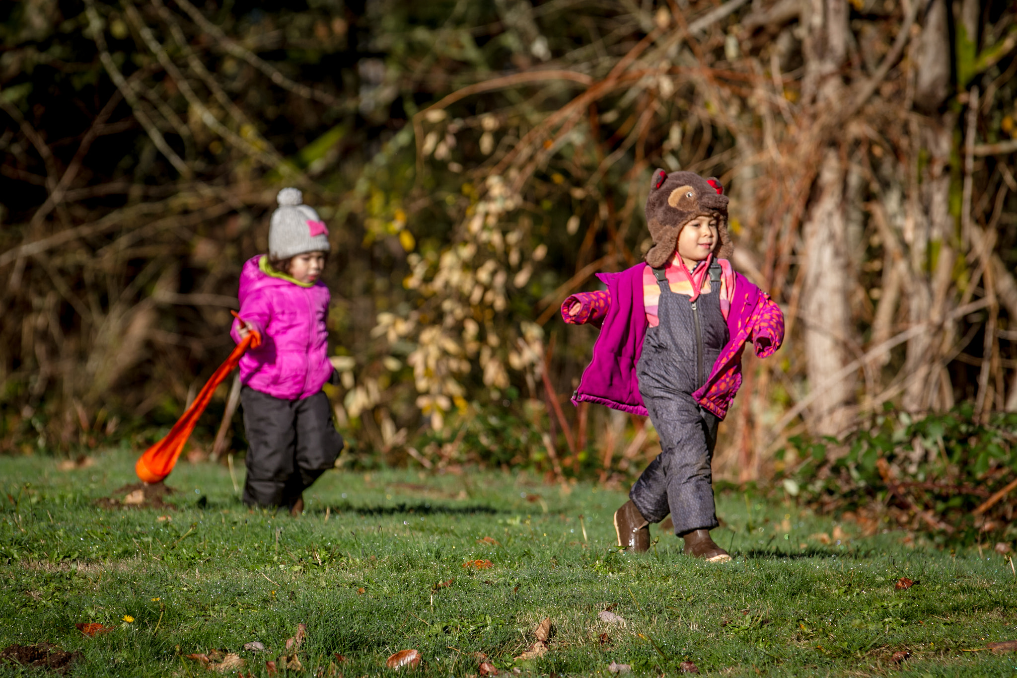 Tiny Trees – King County Parks Blog