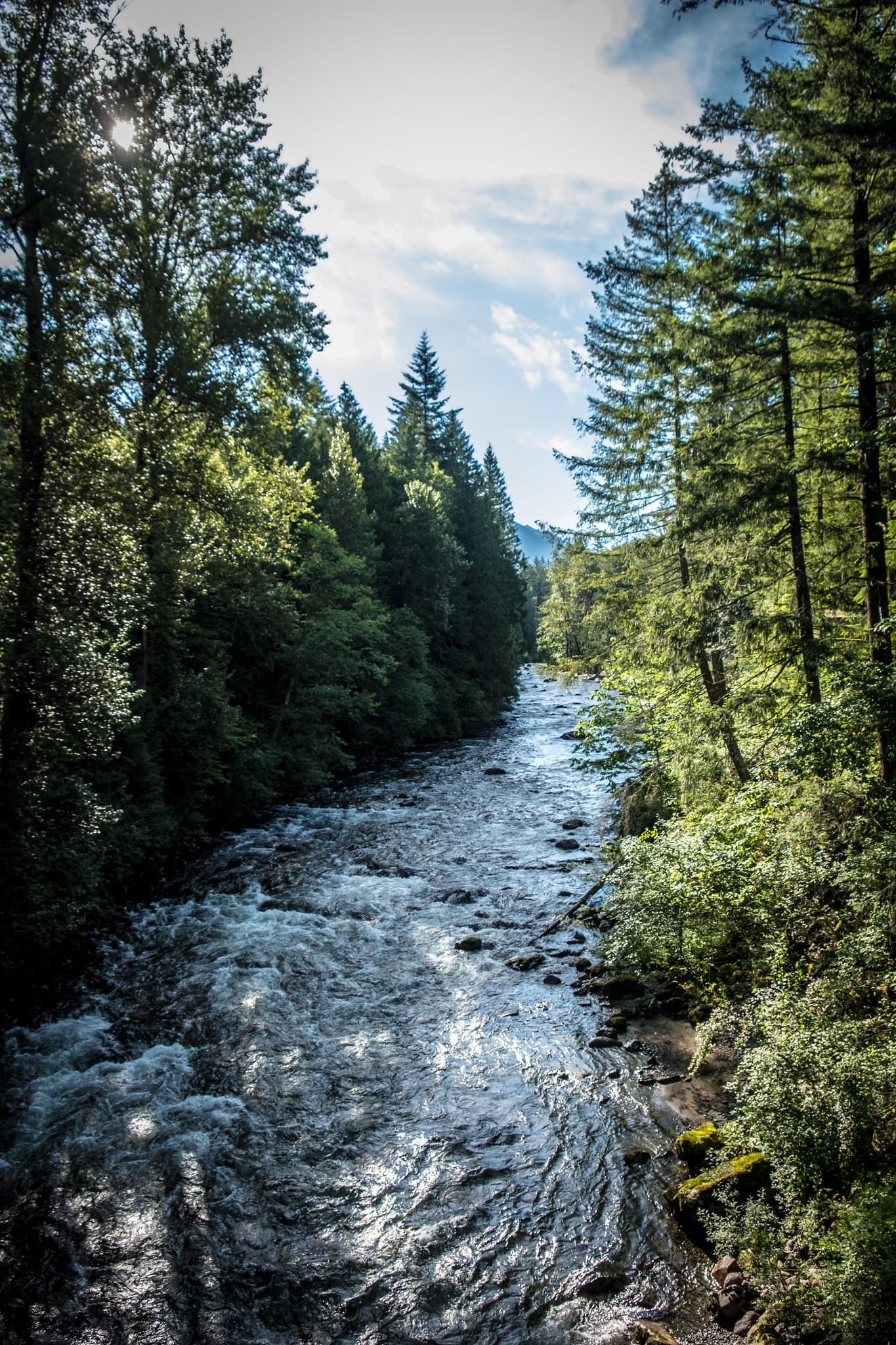 svt-river_vertical – King County Parks Blog