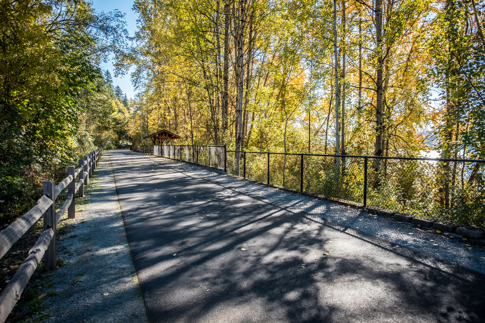 elst-summer-trail – King County Parks Blog