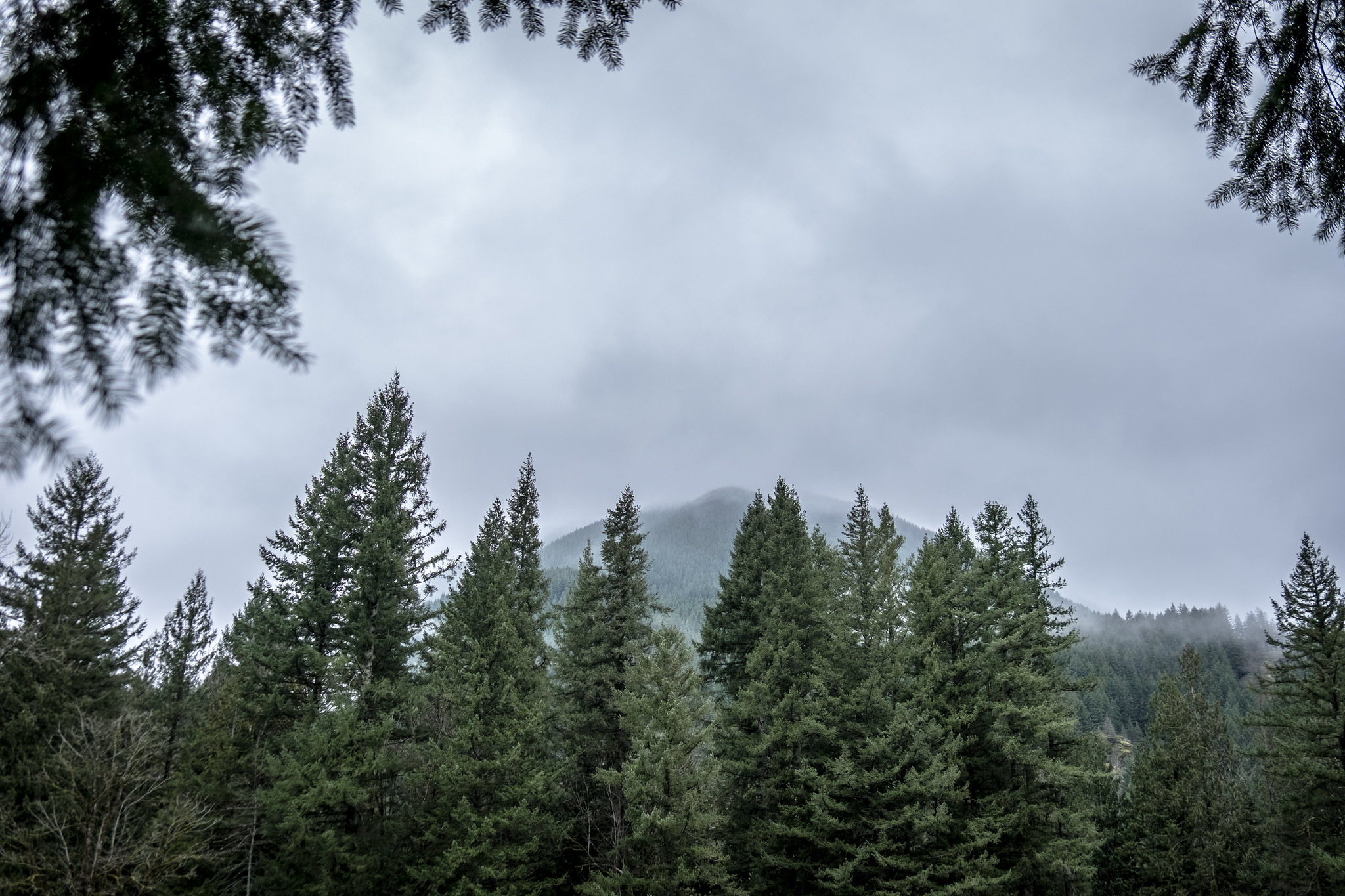 mt-si-tanner-landing – King County Parks Blog