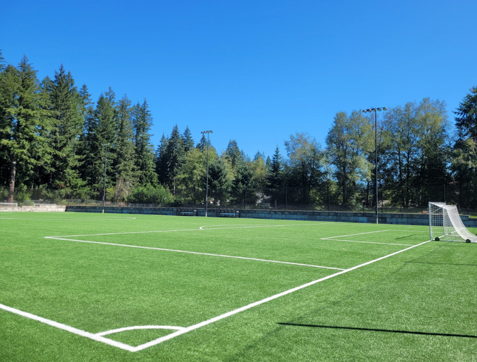 Sports Fields in King County