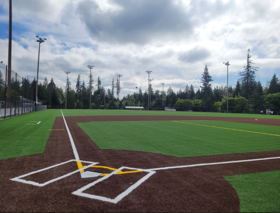 Sports Fields in King County